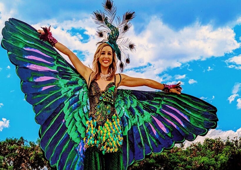 When & Where - Pine Rivers Show