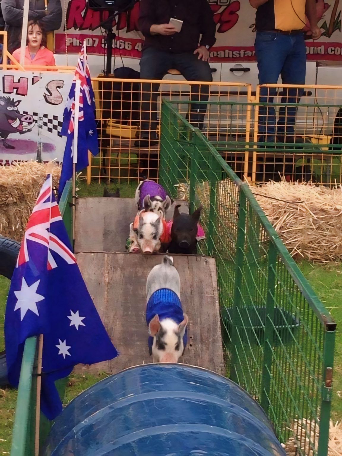 Home - Pine Rivers Show