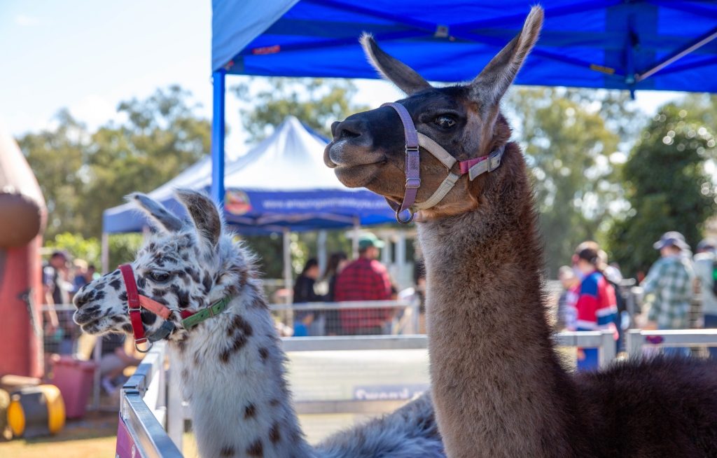 Home - Pine Rivers Show