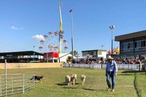 Entertainment - Pine Rivers Show
